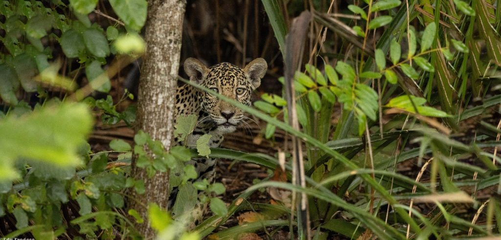 Home - Ventre Studio