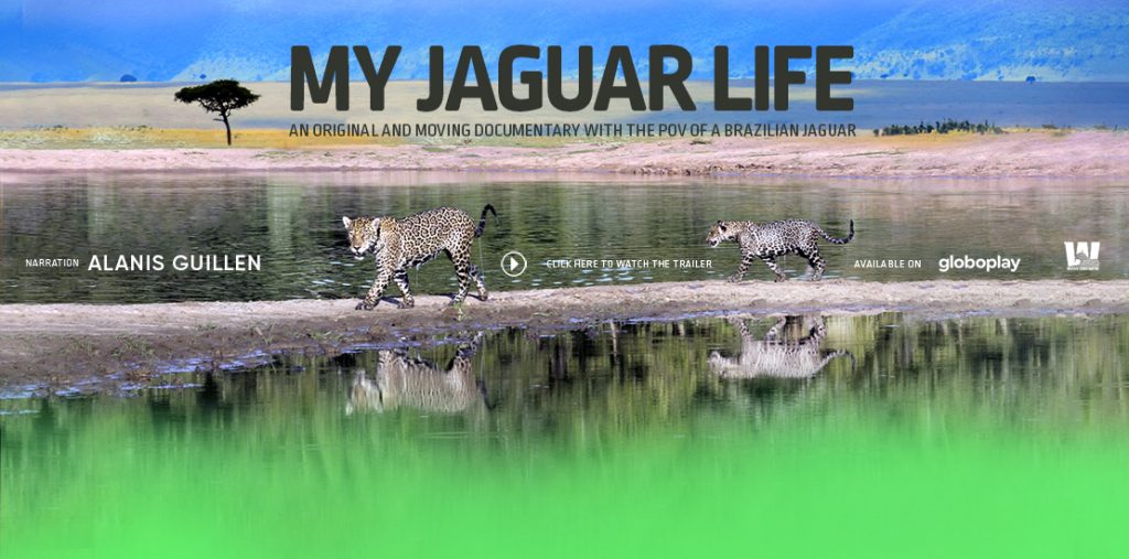 Home - Ventre Studio