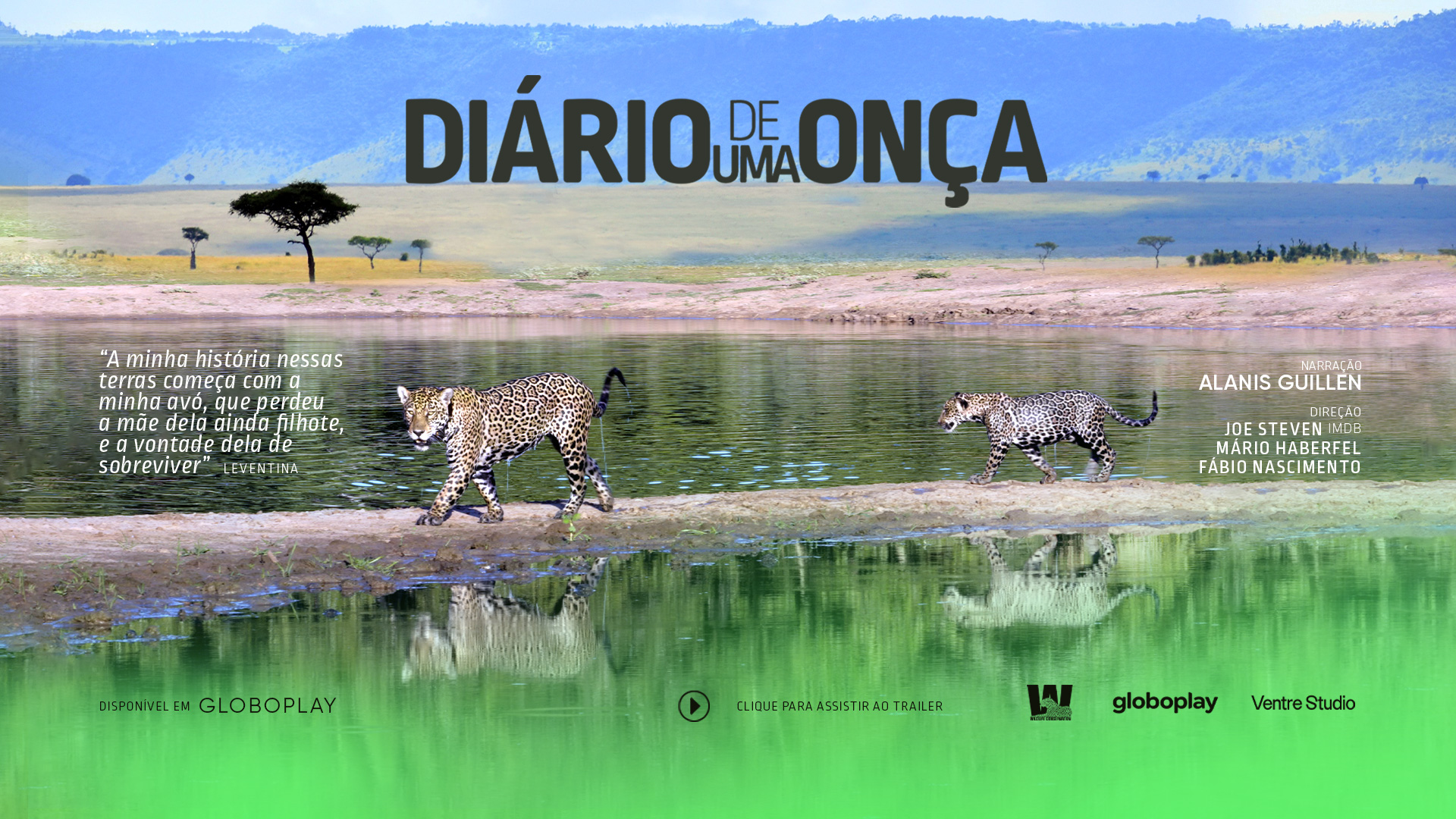 Home - Ventre Studio