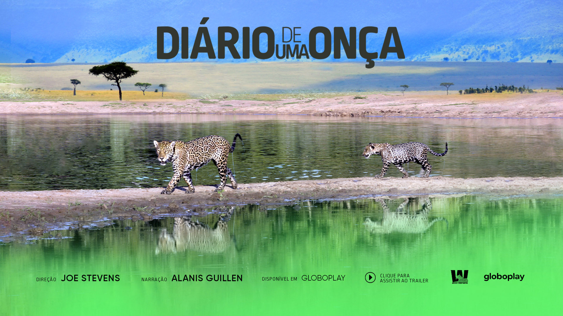 Home - Ventre Studio